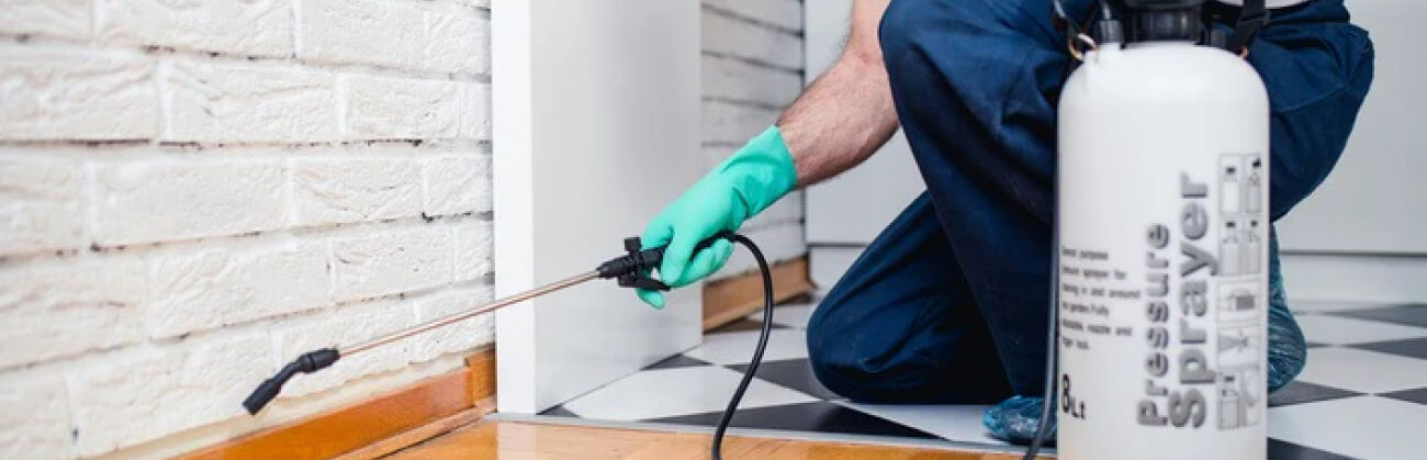 Pest Control Dallas | The Best DFW Exterminator: Smith Thompson